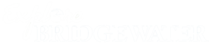 Why Bridgewater Explore Bridgewater